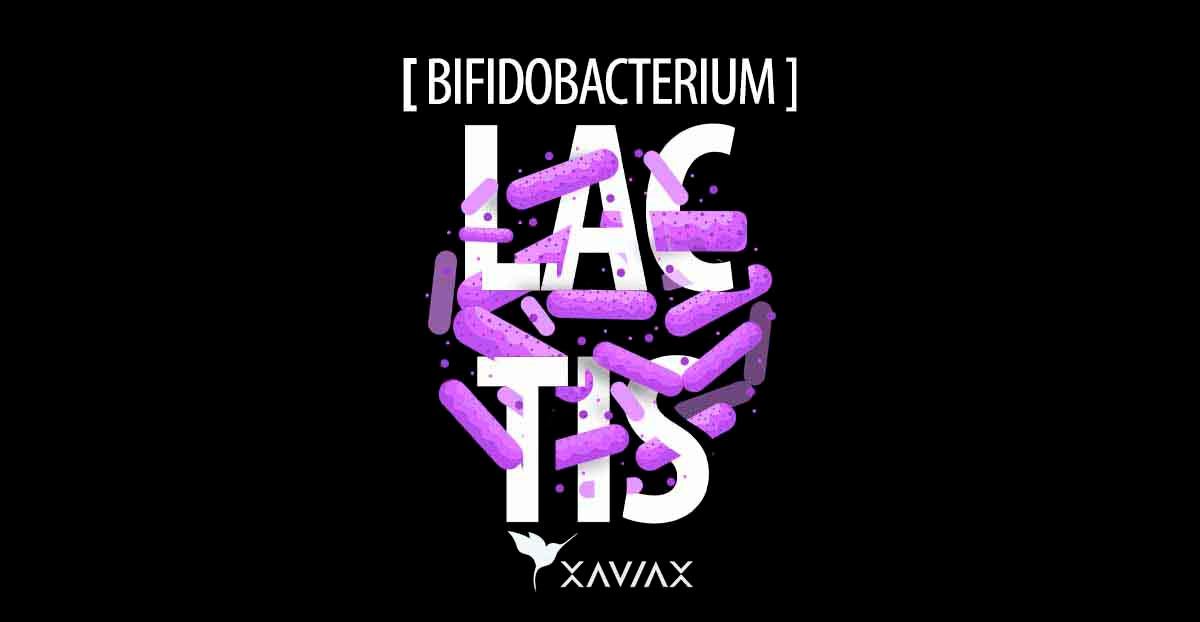 Benefits of Bifidobacterium Lactis B420 | XAVIAX Probiotics – USA Pavia ...